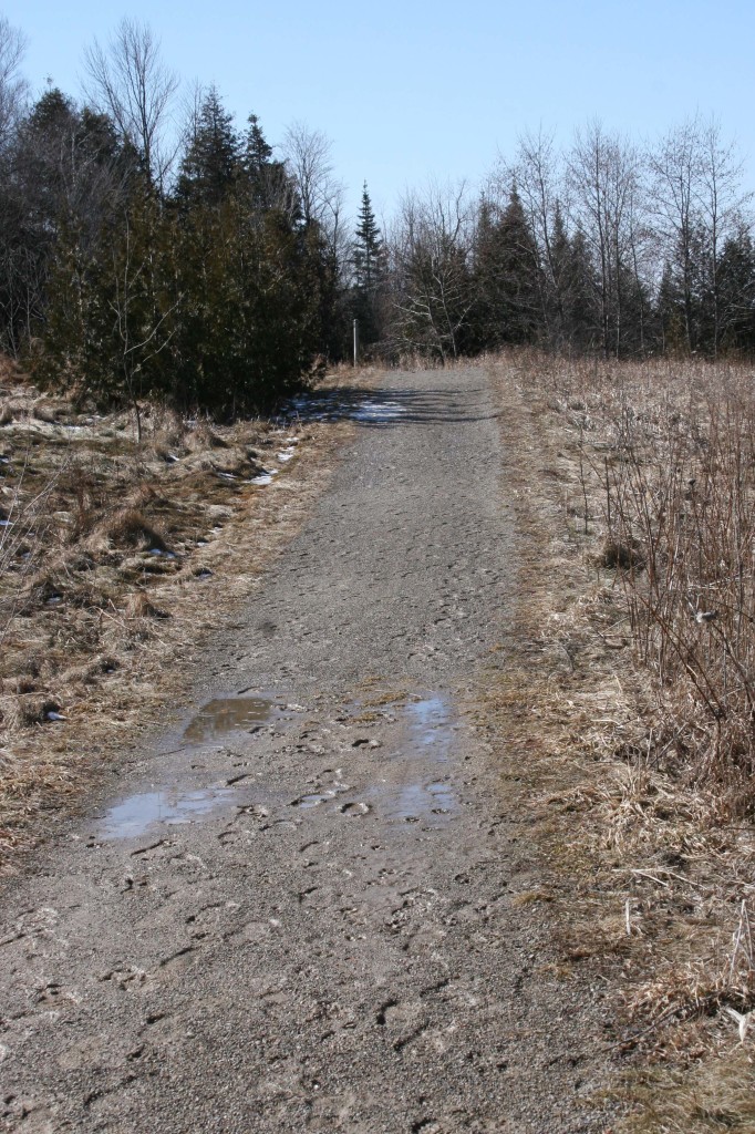 Icy Hiking At Island Lake - Argosgirl Outdoors