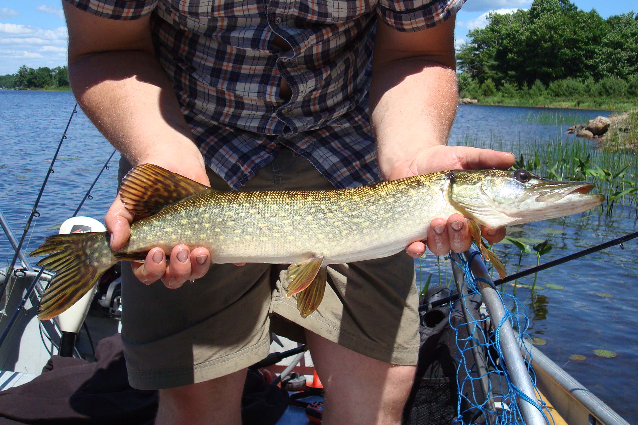 A Toothy Weekend On The Moon River - Argosgirl Outdoors